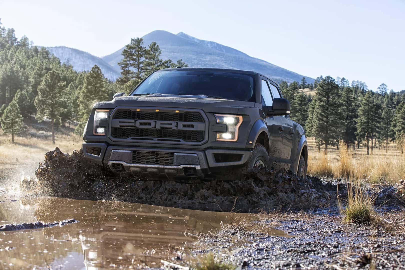Ford F-150 Raptor | Vernon Auto Group
