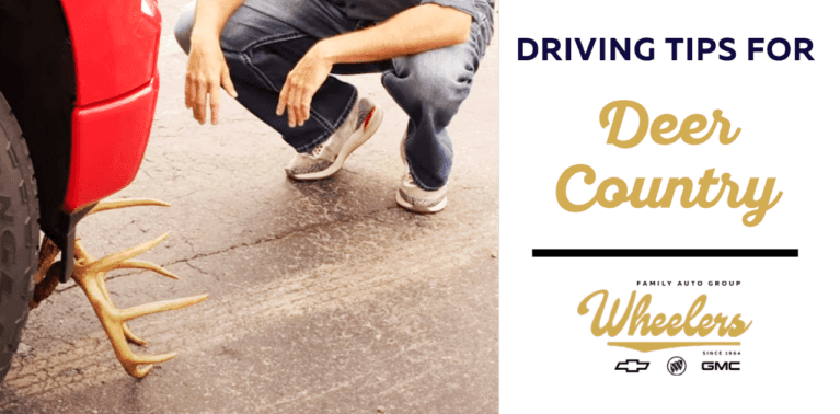Tips for Driving Through Deer Country | Wheelers Family Auto Group